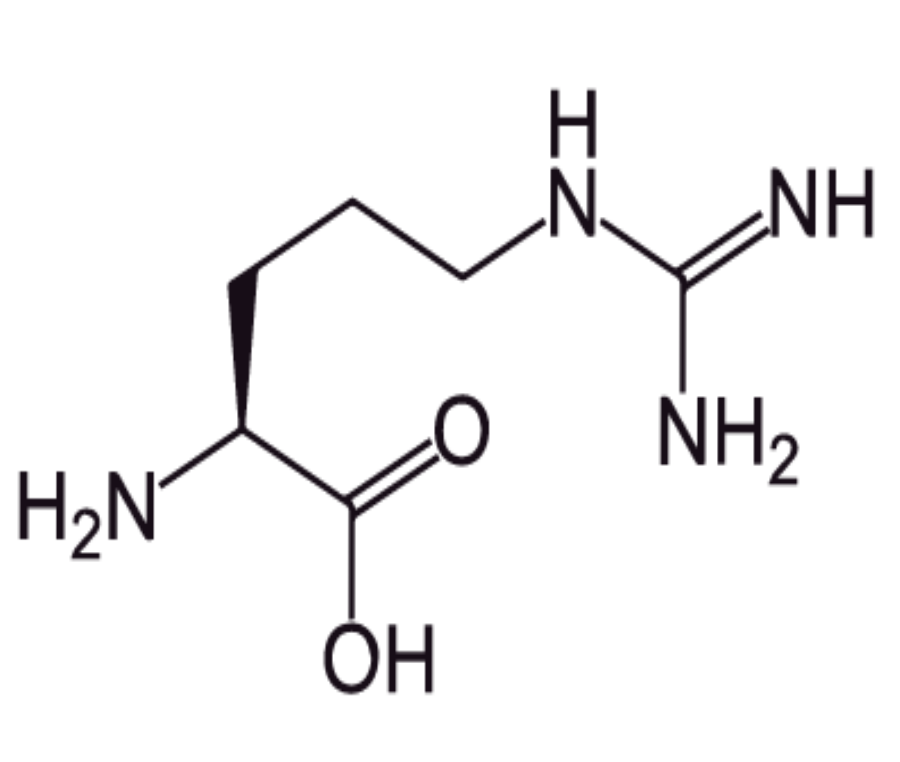 Encapsulated amino acid beadlets and granules