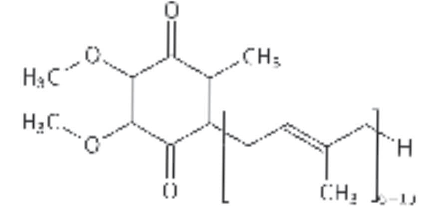 Encapsulated actives | Beadlets Manufacturers in bulk